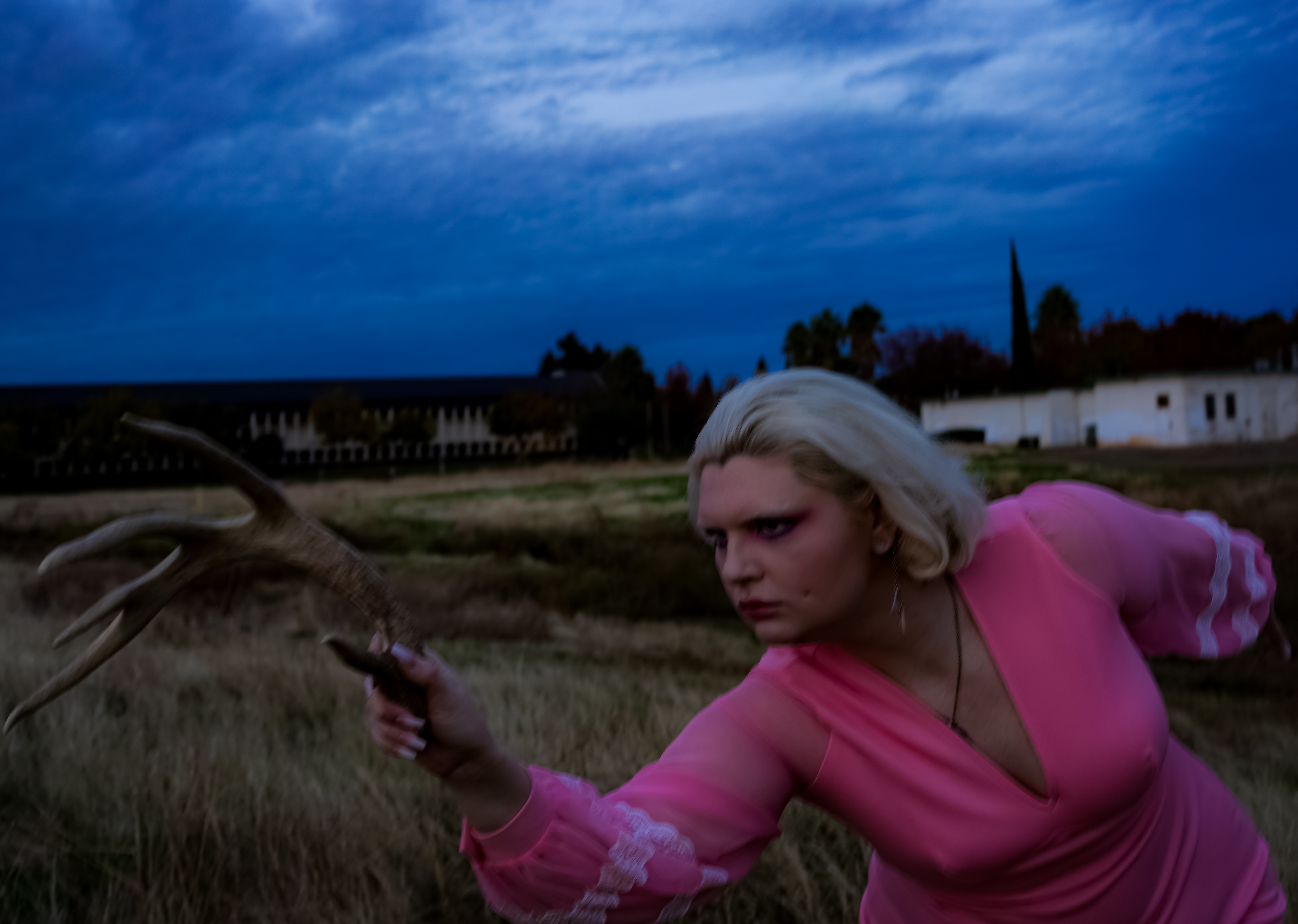 Make the Rules, Then Break Them – Flowers, and the Moon