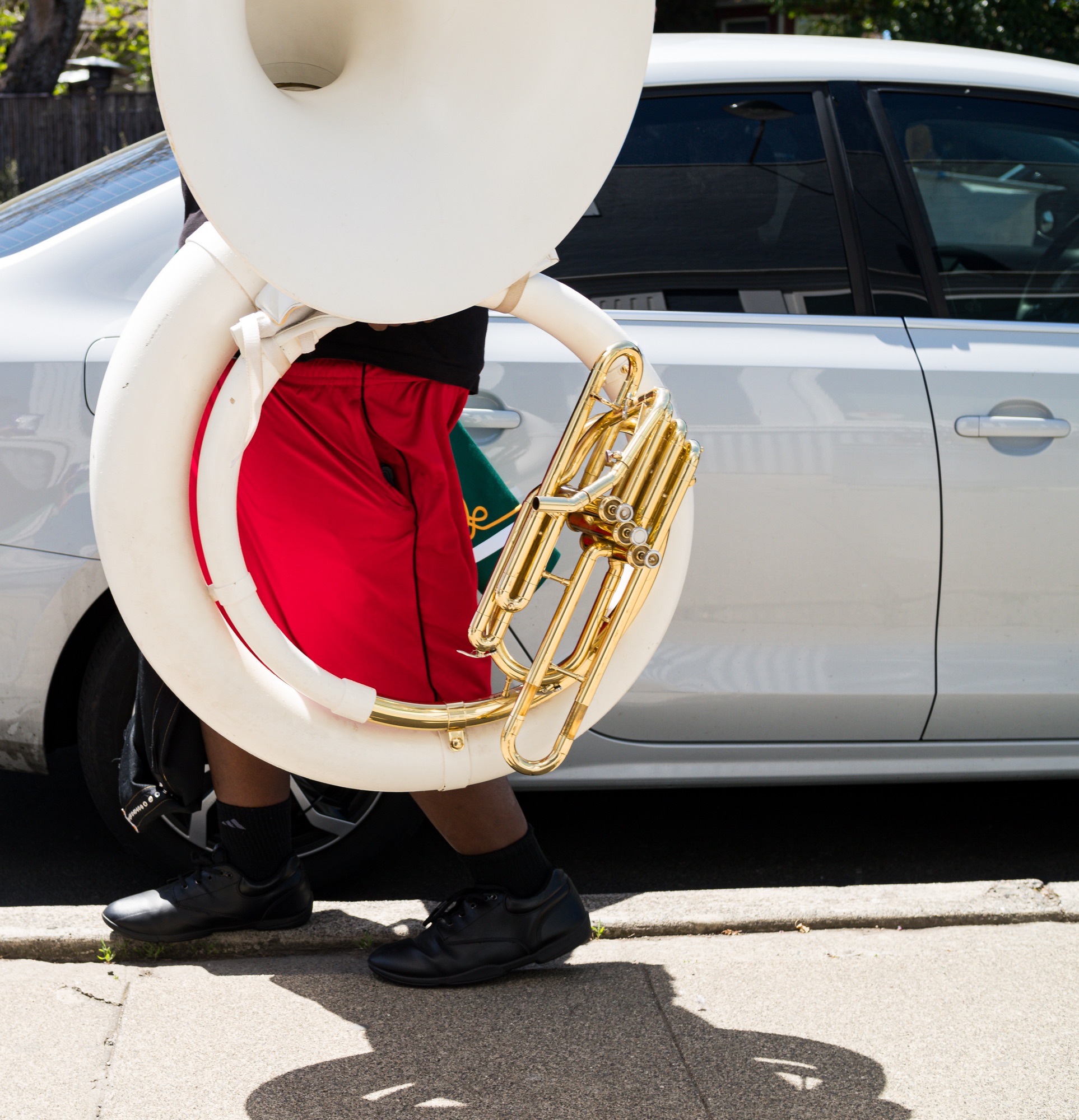 Tuba – Flowers, and the Moon